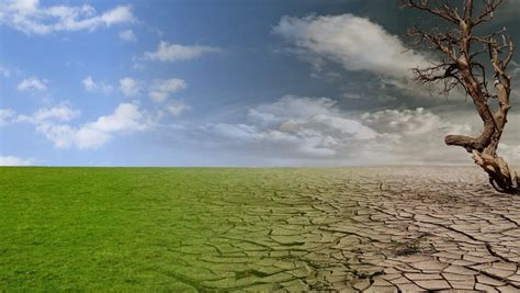 Que se passe t il si la Terre se réchauffe les conséquences
