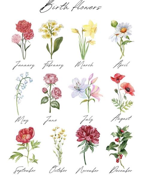 Birth Month Flowers Miniature Garden Zodiac Signs Tatting Magical