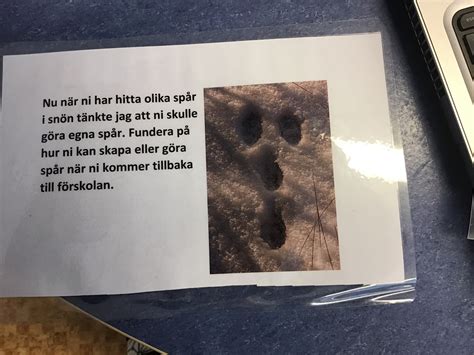 Skolbanken Djur Och Natur