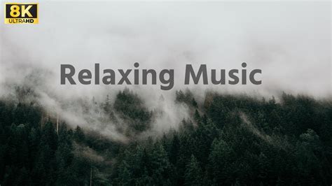 Beautiful Relaxing Music Calm Piano Music Guitar Music YouTube