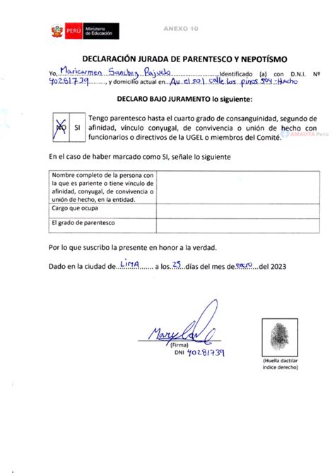 Anexos Llenados Que Te Servir N Como Referencia Para Contrato Docente