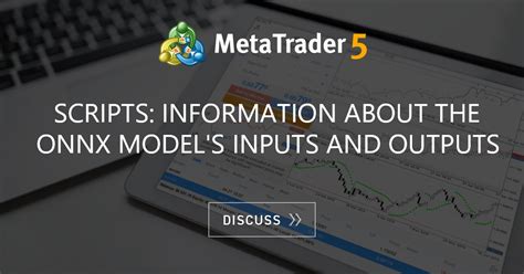 Scripts Information About The Onnx Model S Inputs And Outputs