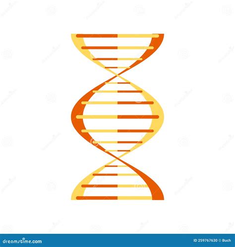 Human Genes Cell DNA Molecules Helix Structure Stock Vector