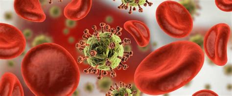 Bloodborne Pathogen Certification Empowering Individuals With