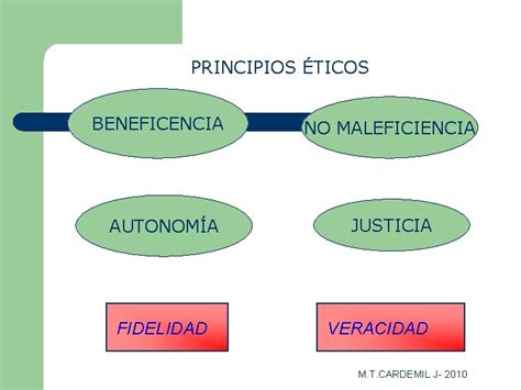 PRINCIPIOS ETICOS Y ETICA PROFESIONAL M T CARDEMIL