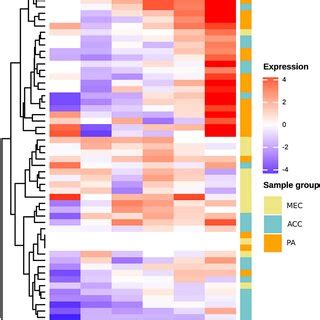 Hierarchical Cluster Analysis Of Differentially Expressed MiRs In SGTs