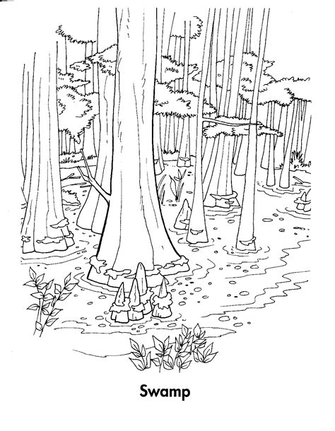 Bosque 157057 Naturaleza Dibujos Para Colorear E Imprimir Gratis