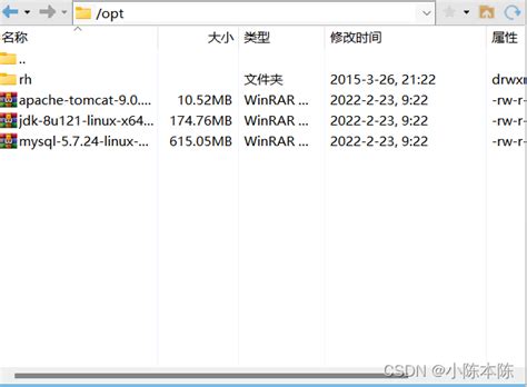 【linux】linux下命令安装jdk、tomcat与mysql binz后缀是什么文件 csdn博客