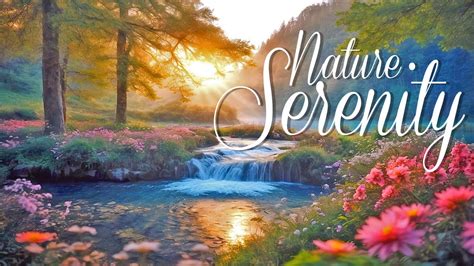 Nature Serenity 3 Hours Of Relaxing Music With Soothing Waterfalls