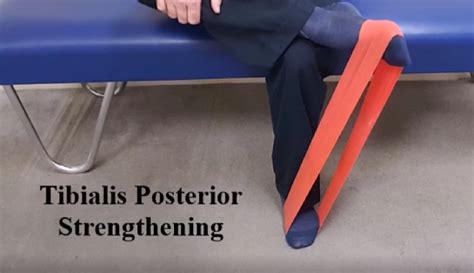 Tibialis Posterior Exercises