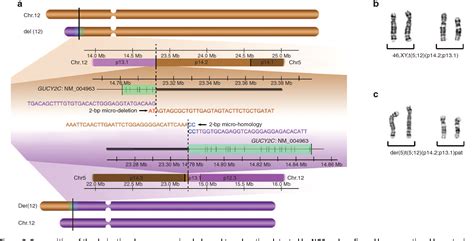 low pass whole genome sequencing in clinical cytogenetics a validated approach semantic scholar