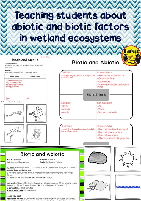 Biotic And Abiotic Factors Worksheet