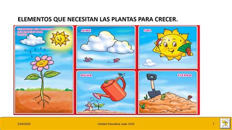 CIENCIAS NATURALES 2do 23 06 20 YouTube