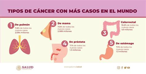 Conoce los 5 tipos de cáncer con más casos en el mundo