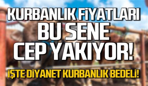Diyanet Kurban bedeli belli oldu Diyanet yurt dışı yurt içi kurbanlık