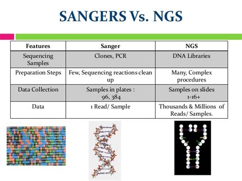 DNA Sequencing Definition Importance Methods And More