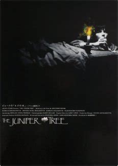 The Juniper Tree Blu ray Björk