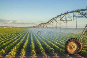 Área irrigada no Brasil cresceu 18 96 em 2020 Máquinas e Inovações