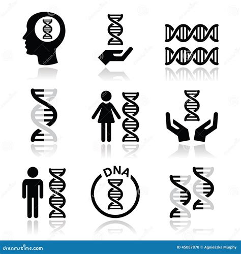 Human DNA Genetics Icons Set Stock Illustration Image 45087870
