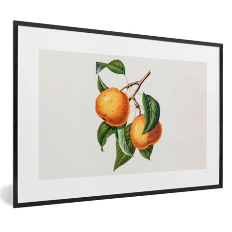 MuchoWow Poster encadré Orange Feuille Plante Tableau deco avec