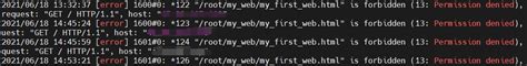 Nginx