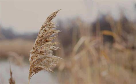 Les différentes approches en psychologie CSPsychologue