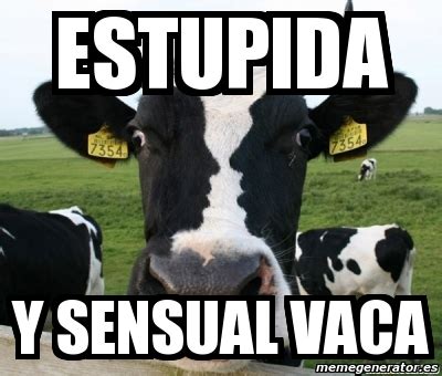 Meme Personalizado Estupida Y Sensual Vaca 6360911