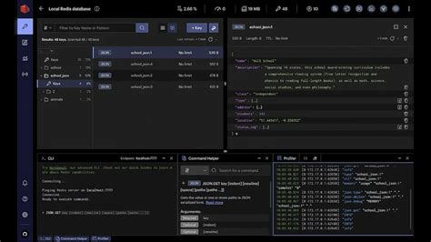 Interface Redis RedisInsight No Linux Como Instalar Via Flatpak