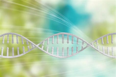Qu est ce que la biodiversité génétique