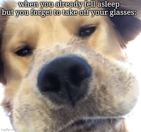 P A I N Imgflip