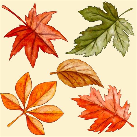 Colección de hojas de otoño en acuarela Vector Gratis