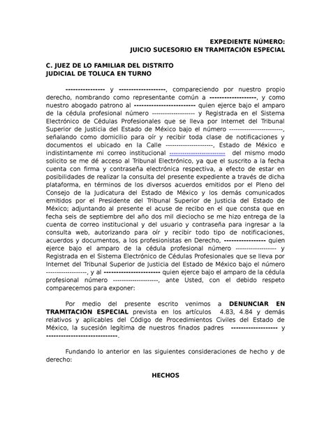 Escrito Inicial Juicio Sucesorio Especial EXPEDIENTE NÚMERO JUICIO