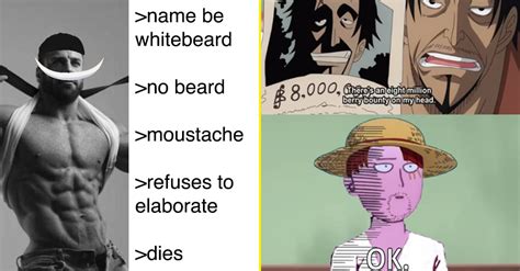 Random One Piece Memes We Saw This Month That Were Actually Pretty