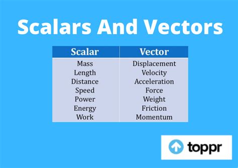 scalars and vectors definition difference between scalars and vectors
