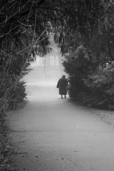 Images Gratuites Arbre Neige Hiver Noir Et Blanc Banc Rue La
