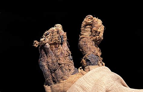 Egypt Museum The Mummy Of Ramesses Ivramesses Iv Was The Eldest Son Of