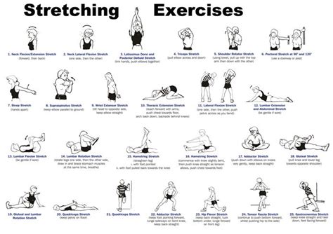 10 Ways To Increase Height Naturally At Home Stretching Exercises