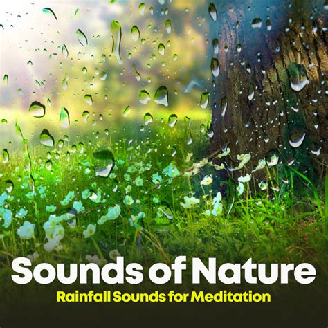 Floating on the River música e letra de Mediation Sounds of Nature