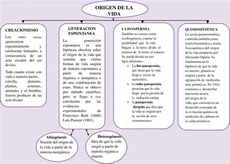 Mapas Conceptuales Del Origen De La Vida Descargar