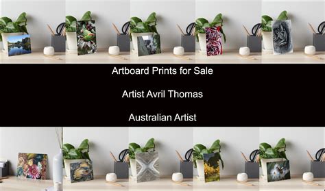 Art Board Prints For Sale Adelaide Artist Avril Thomas