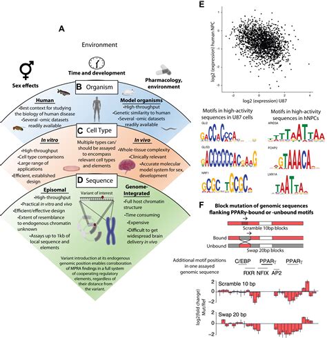 Massively Parallel Reporter Assays Defining Functional Psychiatric