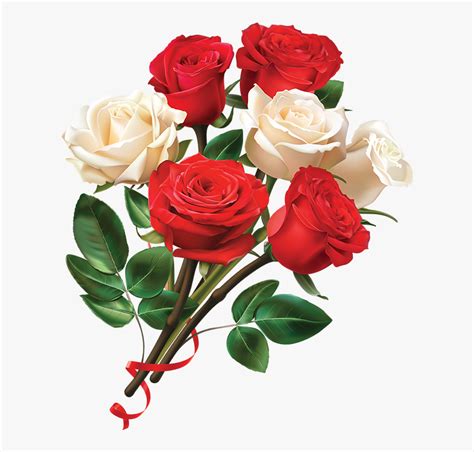 Bouquet Of White Roses Png Rose Image Hd Png Transparent Png Kindpng