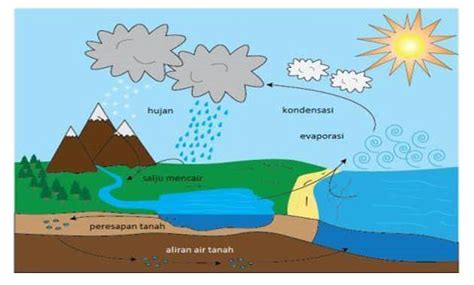 Daur Air Pengertian Proses Tahapan Gambar Siklusnya