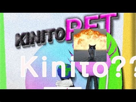 KinitoPet Moments That Make Me Giggle YouTube