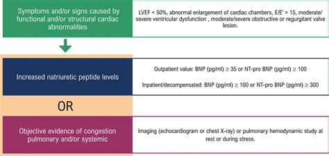 New Universal Definition Of Heart Failure A New Vision For Treatment