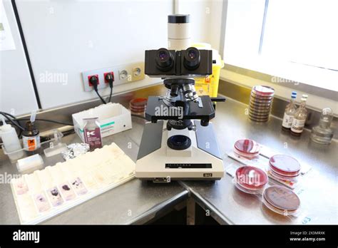Api Microbiology Test Identifying Bacteria Laboratory Technician