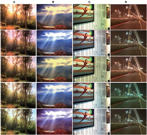 frontiers multi illumination color constancy based on multi scale supervision and single scale