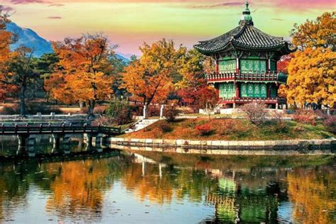 Tempat Wisata Di Korea Selatan Saat Musim Semi Paling Favorit