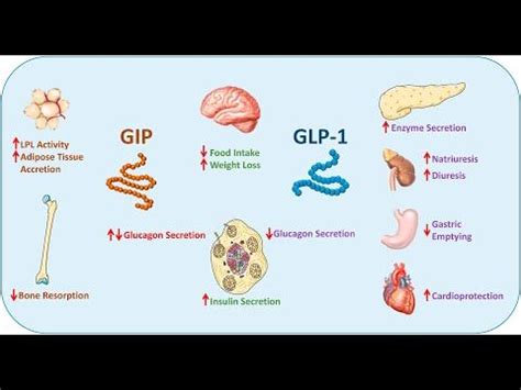 Pin On Medical Tx Of Interest