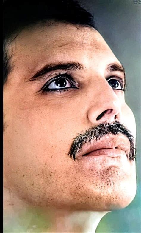 Épinglé par Tanya Rosenberg Stille sur Freddie en 2024 Jolie photo